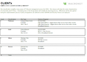 Comprehensive WAN RFP Template - Macronet Services